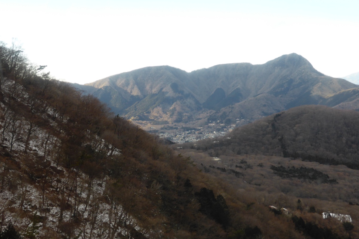 日本の土地を買い漁る外資 6割が「不安に思っている」 (NewSphere)