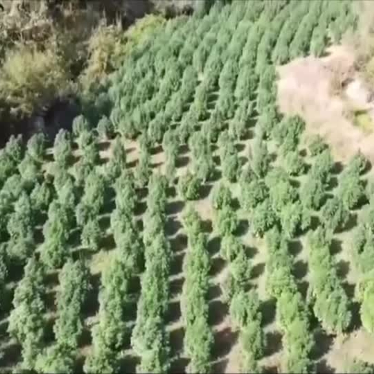 JP Archive (Reuters)