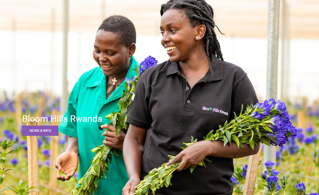 【アフリカスタートアップ投資の注目業界：Vol.10】日系アグリテックも現地で躍動、バリューチェーン横断×デジタル活用 (株式会社PR TIMES)