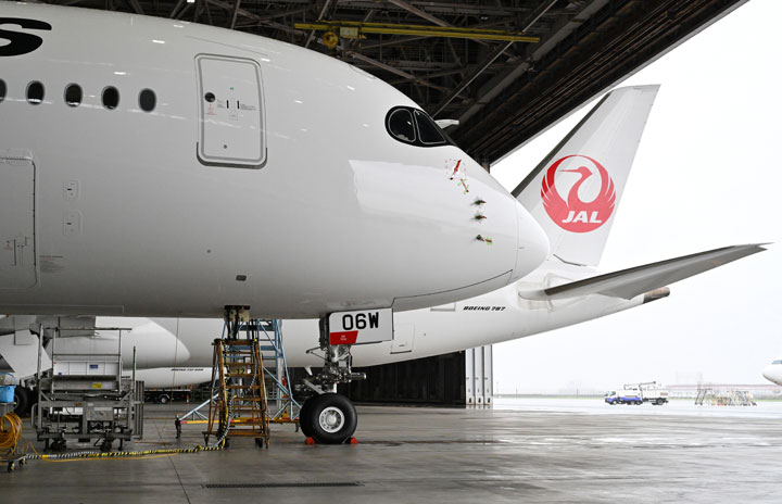 JAL、マイルのため方教えて 5000マイル抽選で30人 (Aviation Wire)