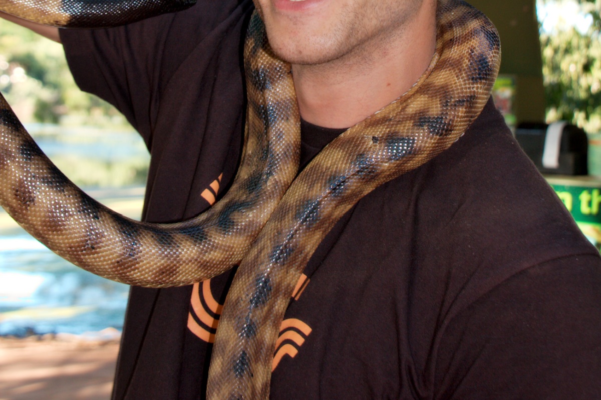 最大6匹のヘビでヨガレッスン 「かわいそう」「動物虐待では？」 (NewSphere)