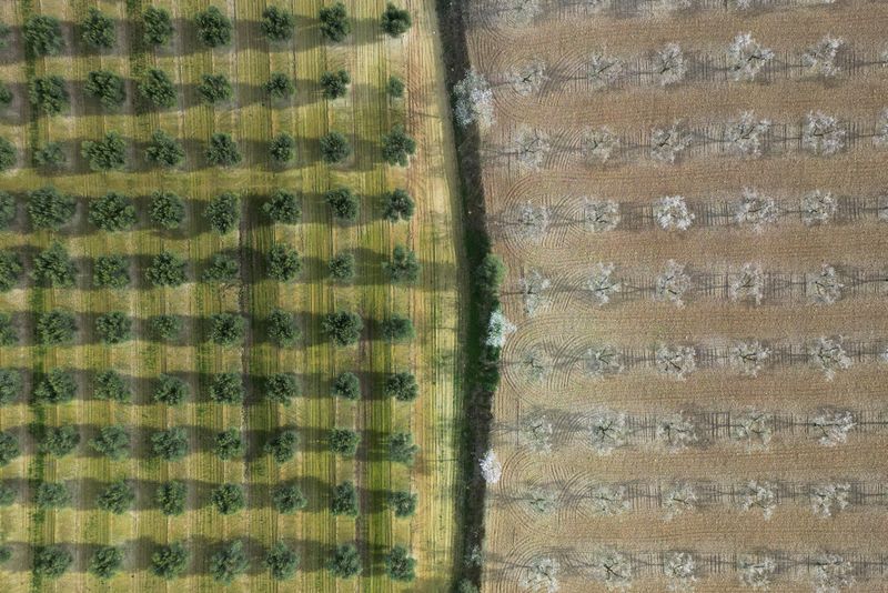 スペイン、関税対策で国内企業に大規模支援 米は「愚か」と首相