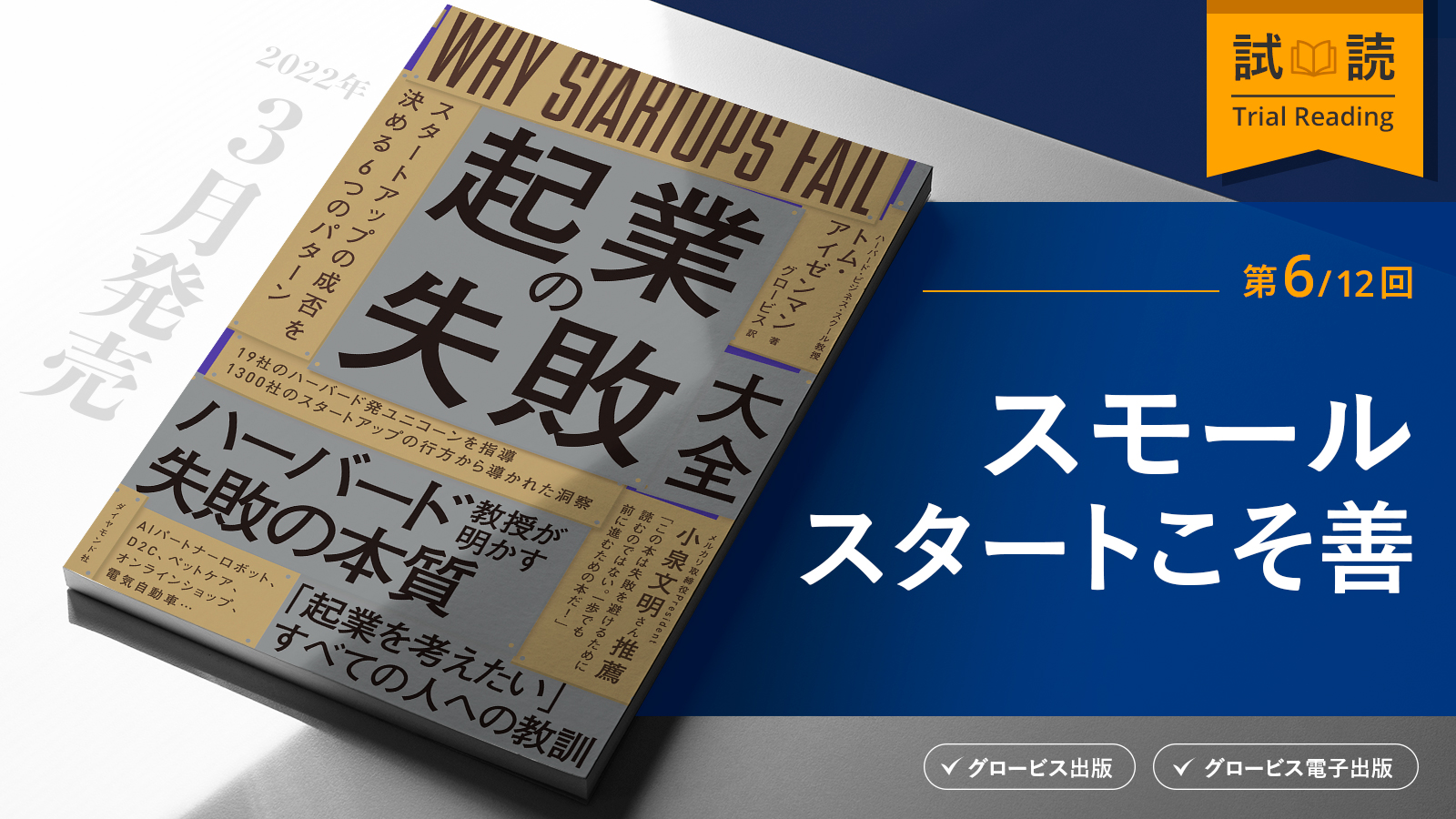 ブリッツ・スケーリングは常に有効なのか？ (GLOBIS知見録)