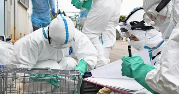 猫虐待の疑い女を送検 逮捕時から容疑否認 倉庫から15匹を保護 那覇署 (沖縄タイムス＋プラス)