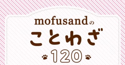 『mofusandのことわざ120』が累計3万部のヒット！もふもふにゃんこに癒されながらことわざ・慣用句を学べる1冊が発売！ (＠Press)