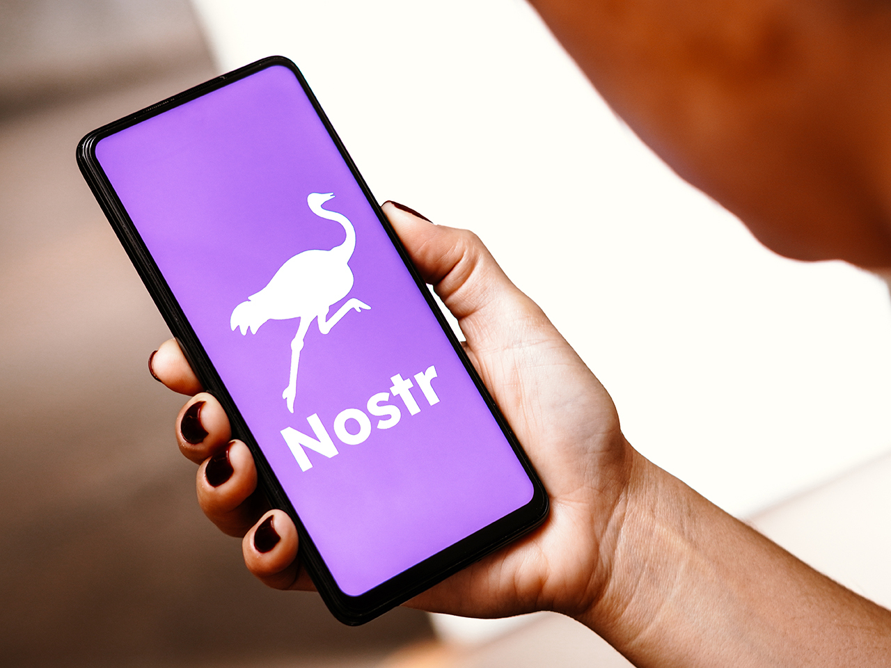 分散型SNS「Nostr」とは--Twitter創業者ジャック氏が支援、渋谷のイベントに700人集結 (CNET Japan)