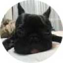 GITAI Japan株式会社 - INITIAL